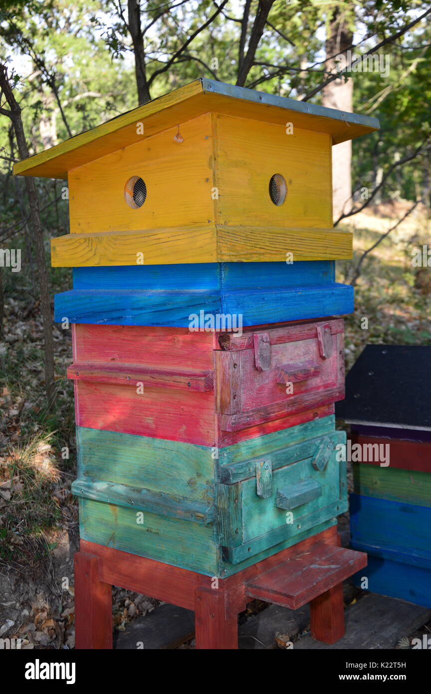 A colorful beehive Stock Photo - Alamy