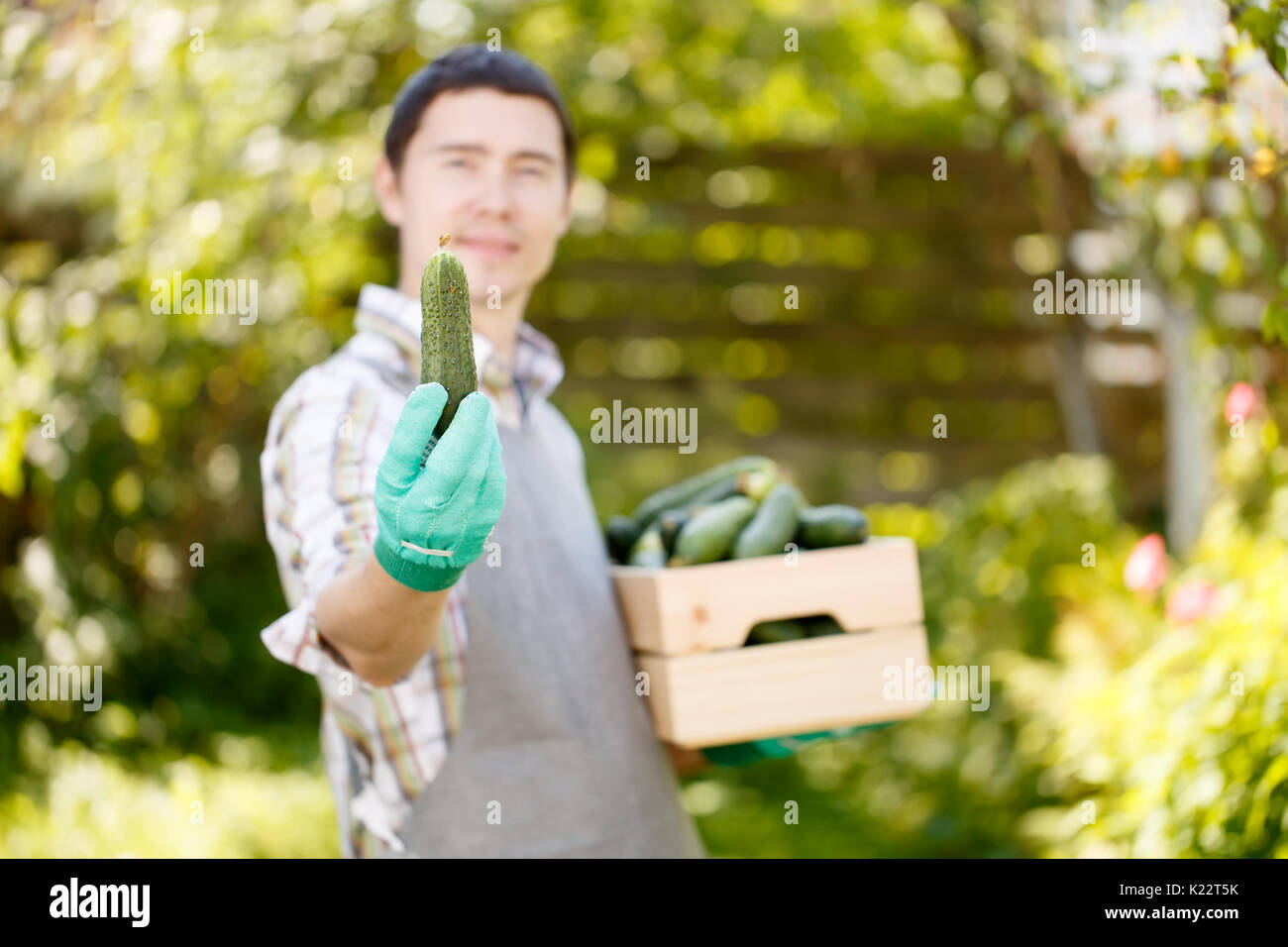 Guy holding cucumber in hand Stock Photo - Alamy