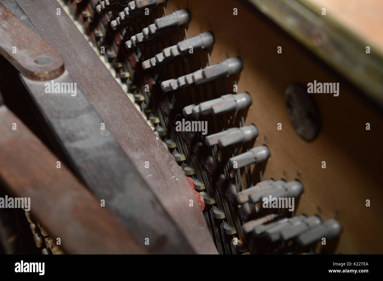 A Stringed music instrument Stock Photo - Alamy