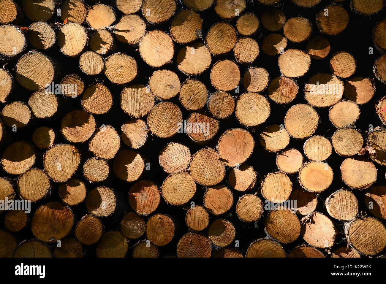 Log pile texture hi-res stock photography and images - Alamy