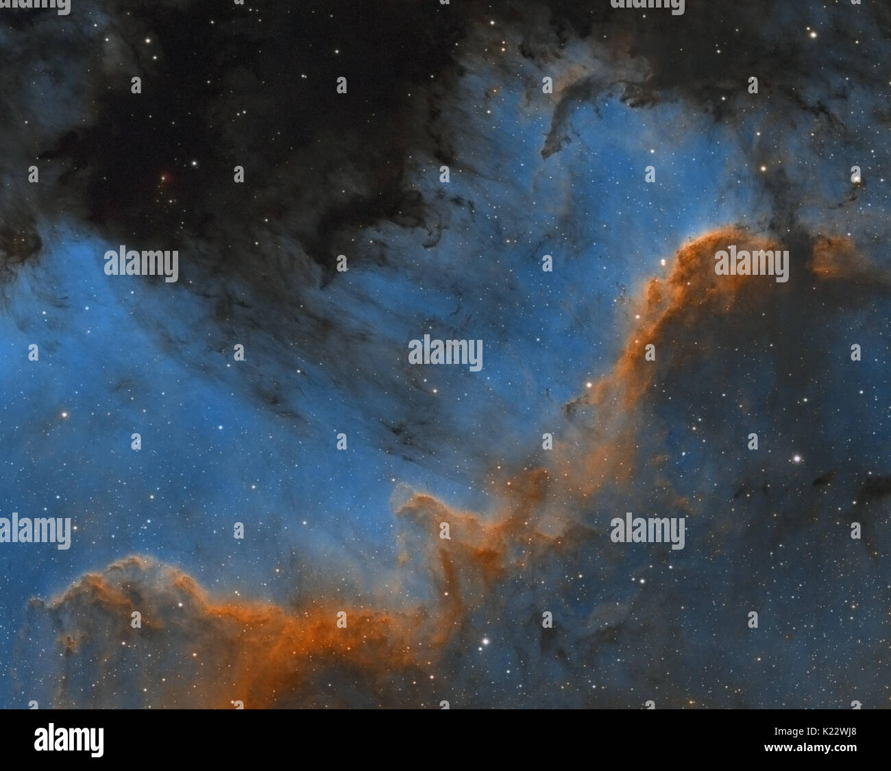 Cygnus Wall region of North America nebula in the constellation of Cygnus (The Swan) - Hubble ...