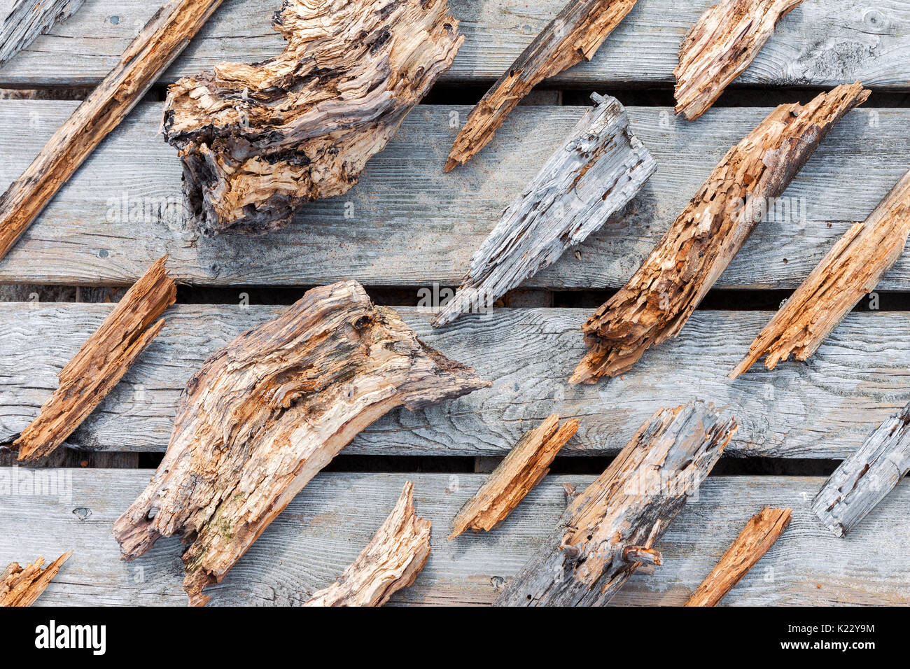 Old rotten wooden pieces and fragments well organized on wooden plank ...