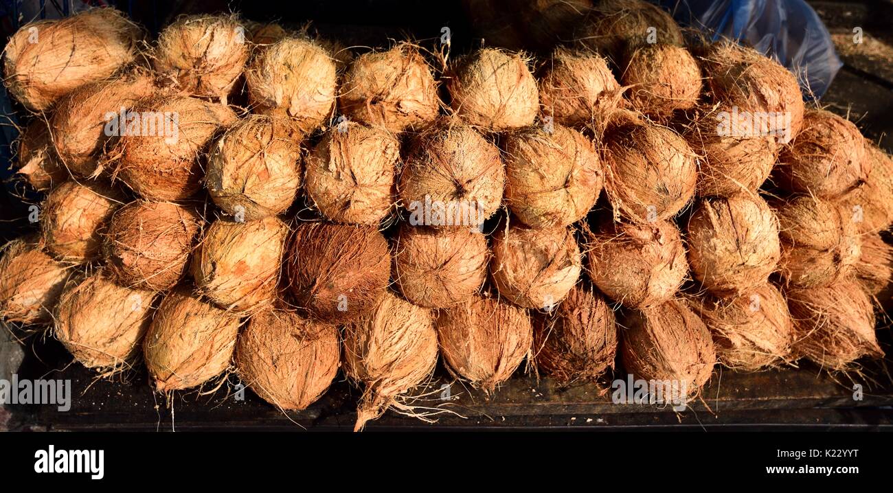 Fresh Coconuts for sale in Sri Lanka in January 2017 Stock Photo - Alamy