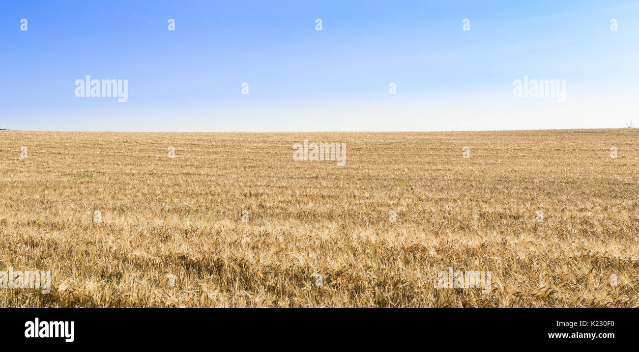 Sweden nature background hi-res stock photography and images - Alamy