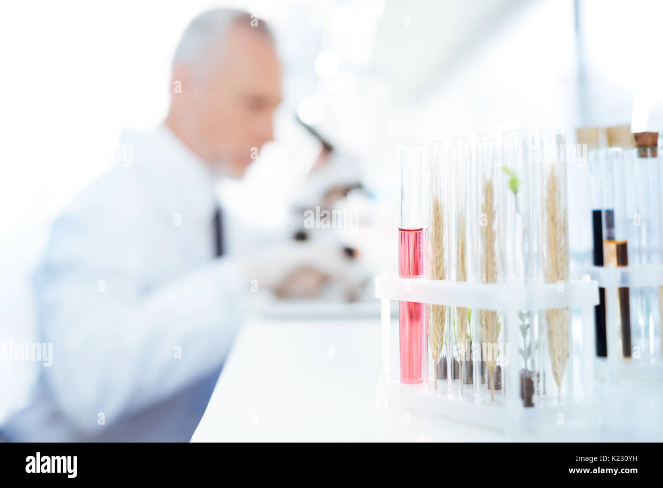 Medical Research Test Tubes Microscope High Resolution Stock ...