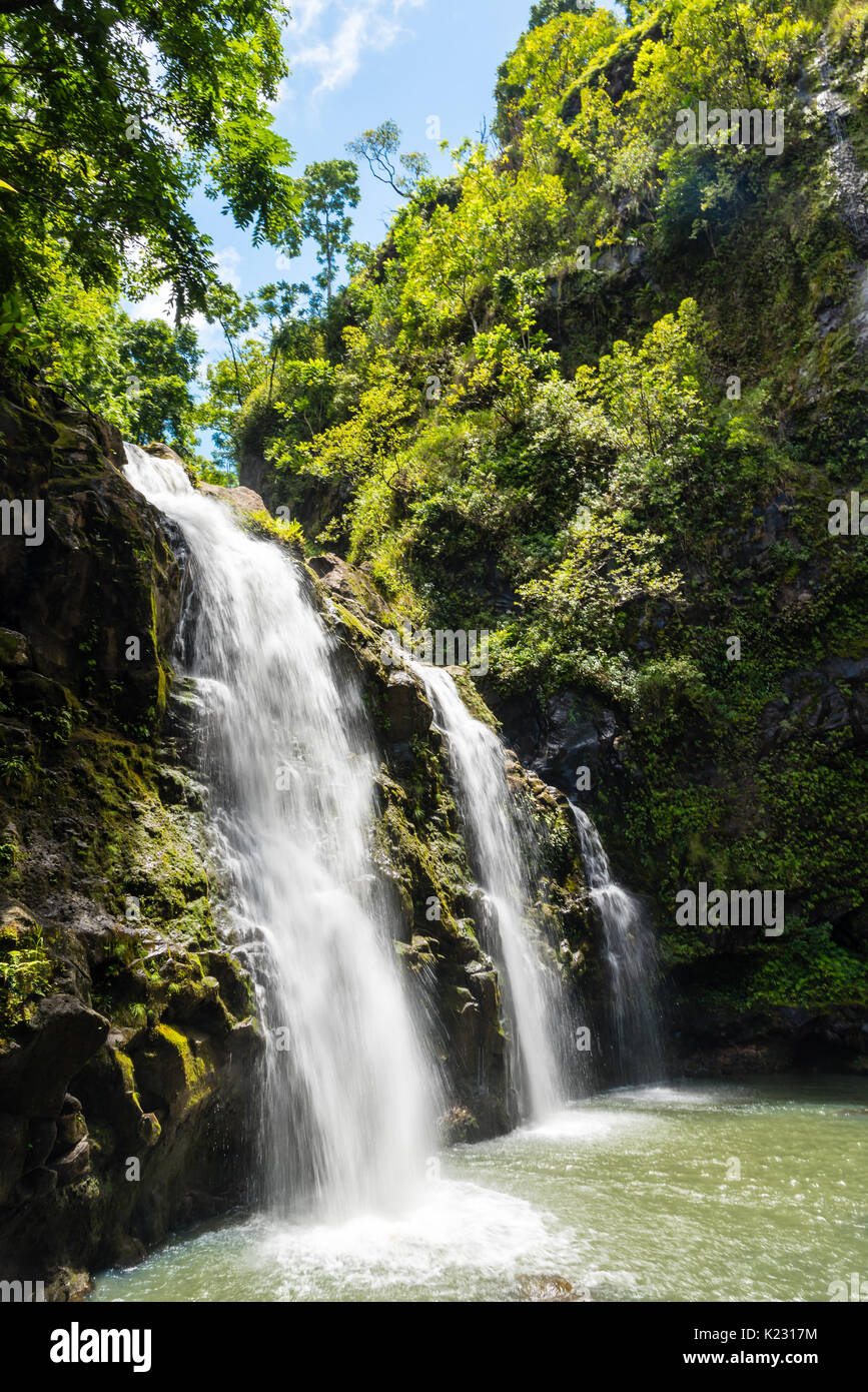 Three bears falls in hi-res stock photography and images - Alamy