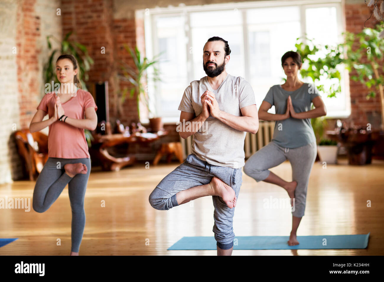 group of people doing yoga tree pose at studio Stock Photo - Alamy