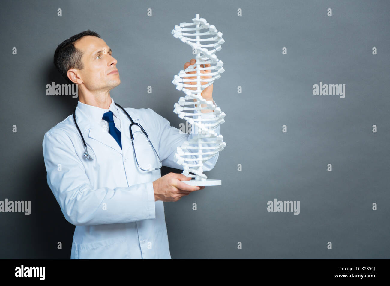 Serious scientist focusing on dna model Stock Photo - Alamy