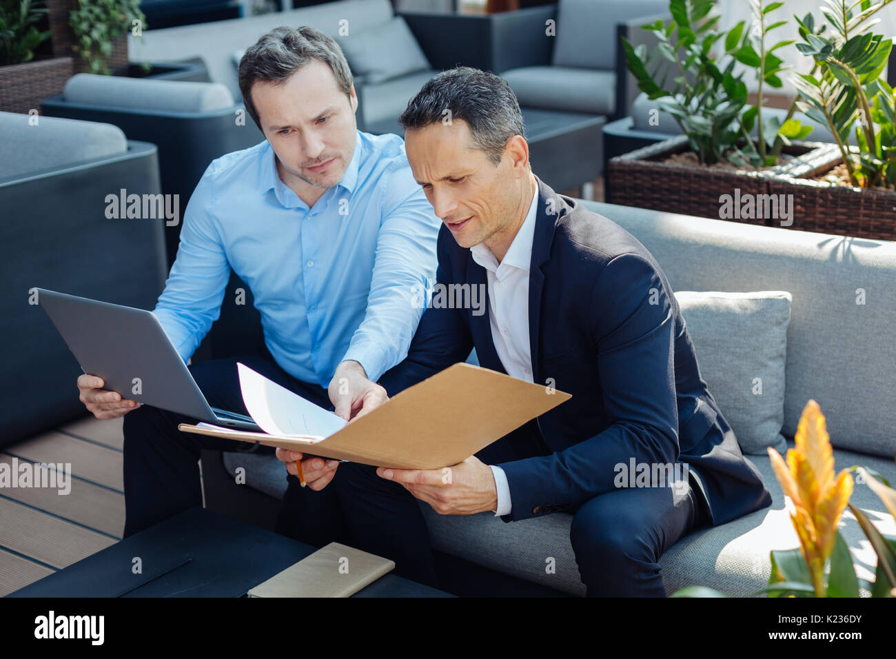 Professional serious businessmen studying documents Stock Photo - Alamy