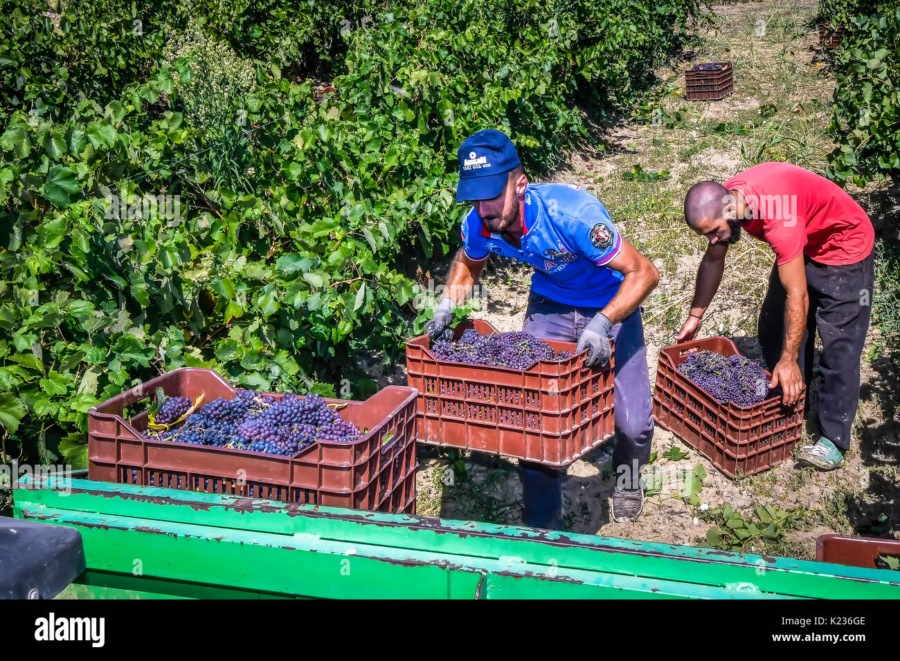 Corinthian raisins hi-res stock photography and images - Alamy