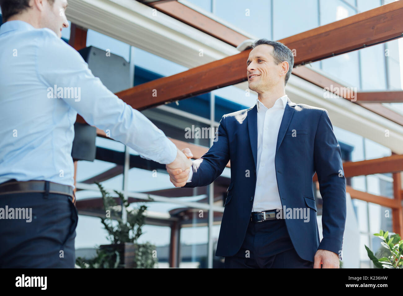 Delighted handsome businessmen shaking hands Stock Photo - Alamy