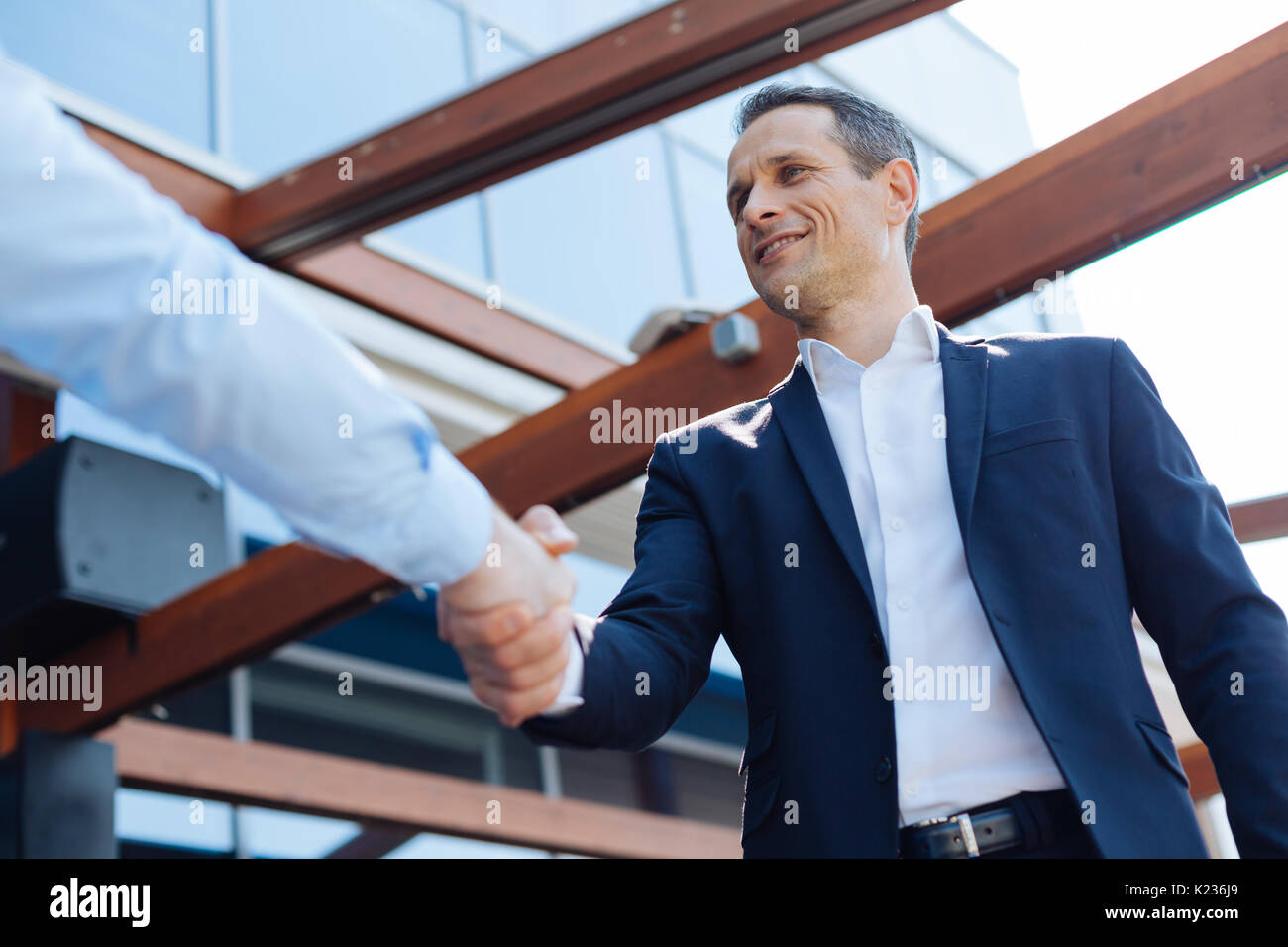 Joyful positive man shaking a hand of his partner Stock Photo - Alamy