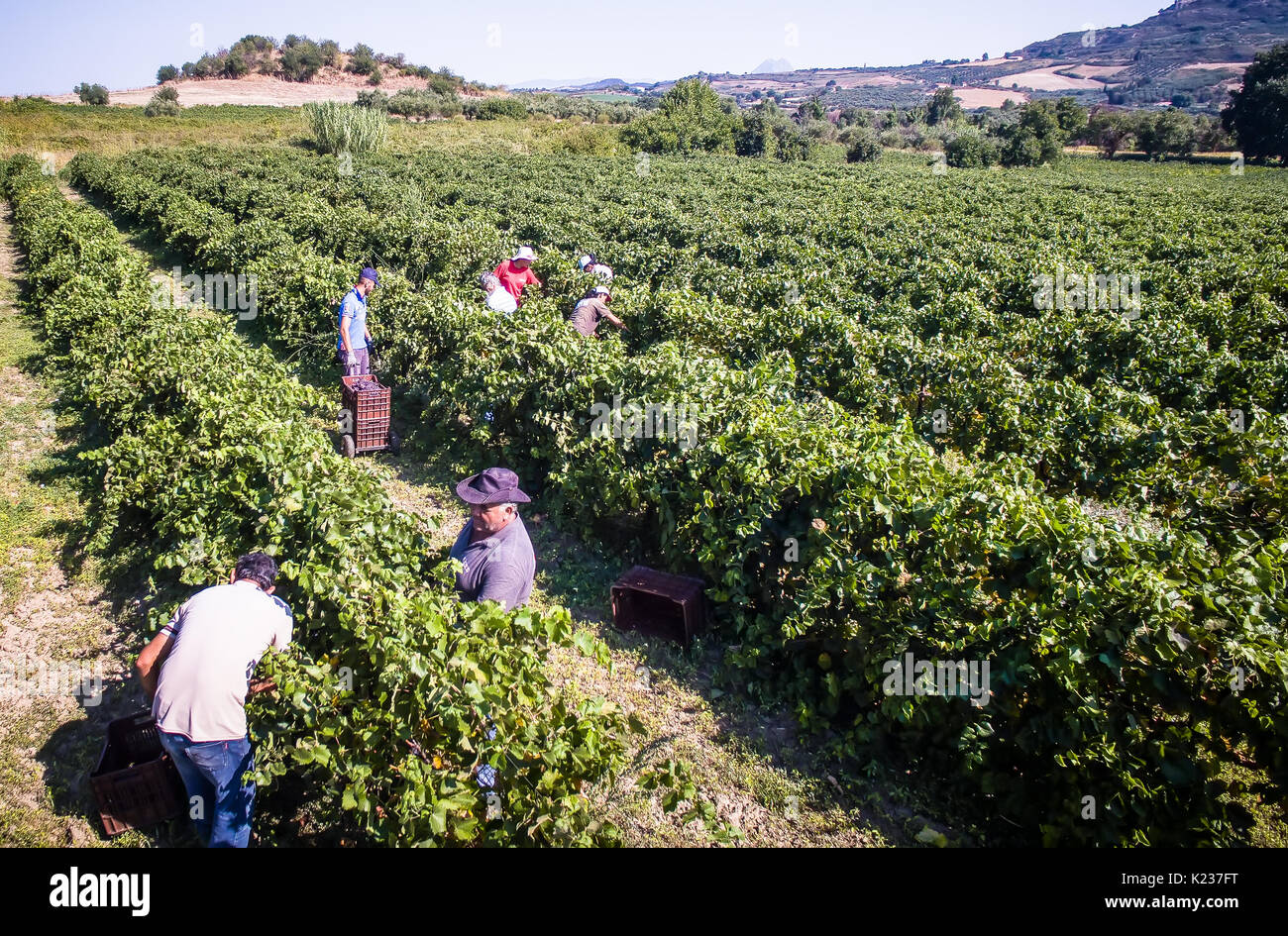 Corinthian raisins hi-res stock photography and images - Alamy