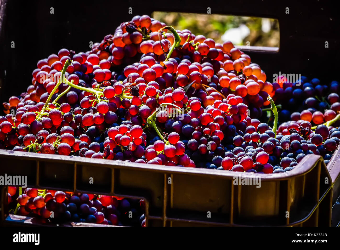 Grapes in a box Stock Photo - Alamy