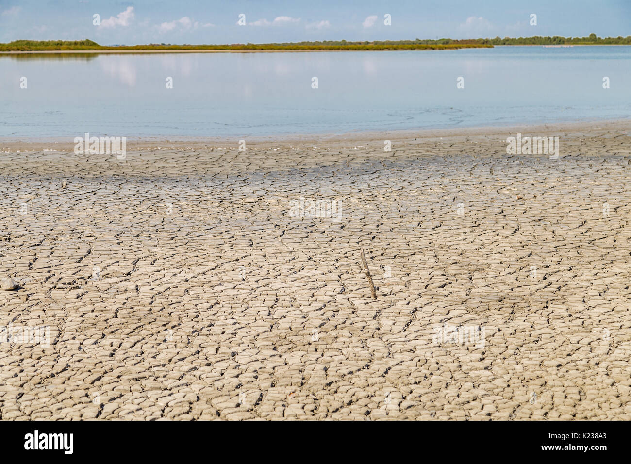 cracked clay soil beach on clear lagoon water Stock Photo - Alamy