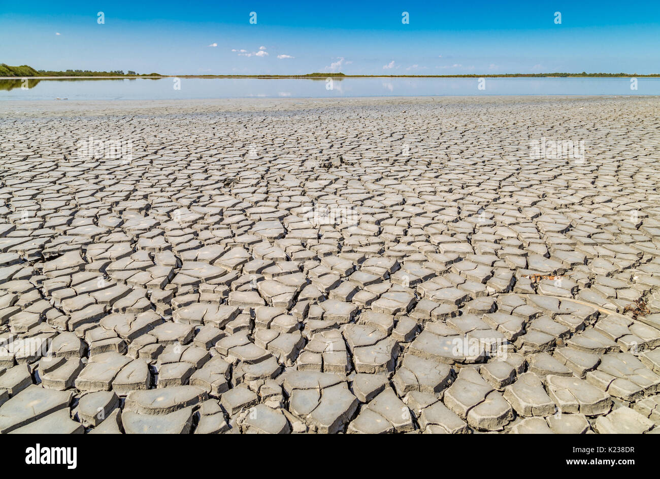 cracked clay soil beach on clear lagoon water Stock Photo - Alamy