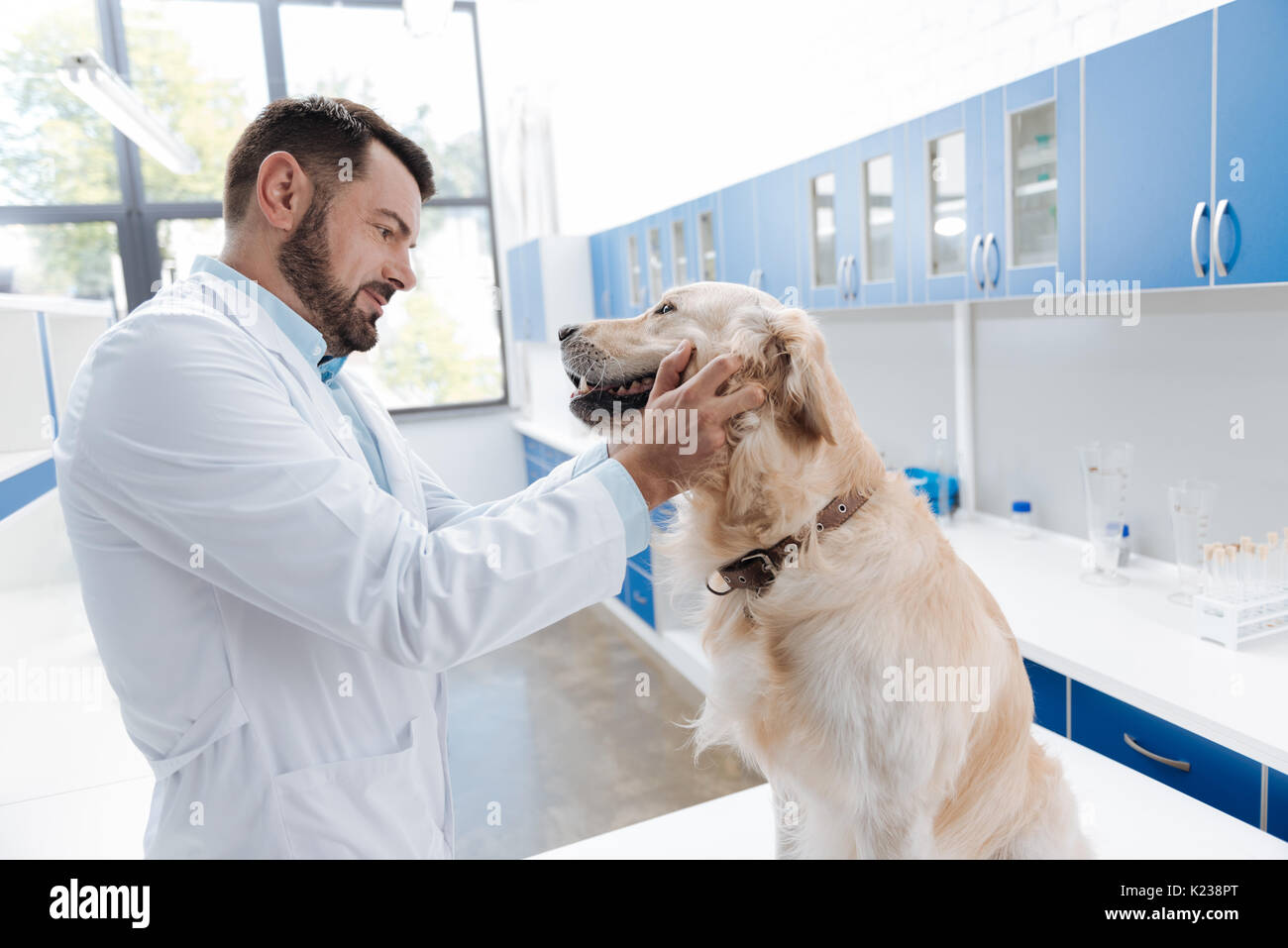 Profile picture of delighted vet that holding big dog Stock Photo - Alamy