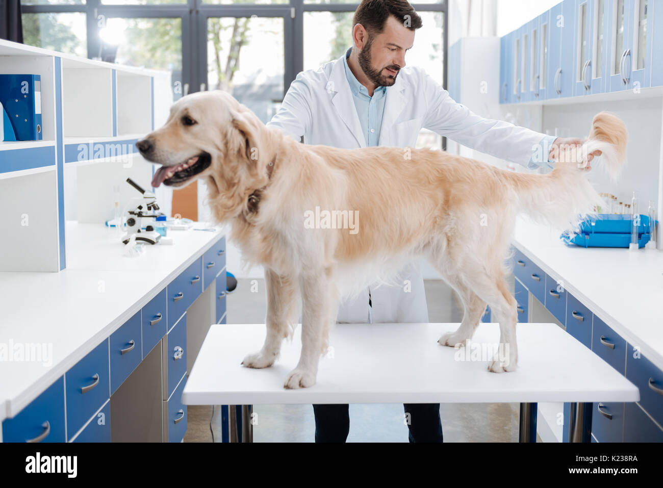 Checking Dog High Resolution Stock Photography and Images - Alamy