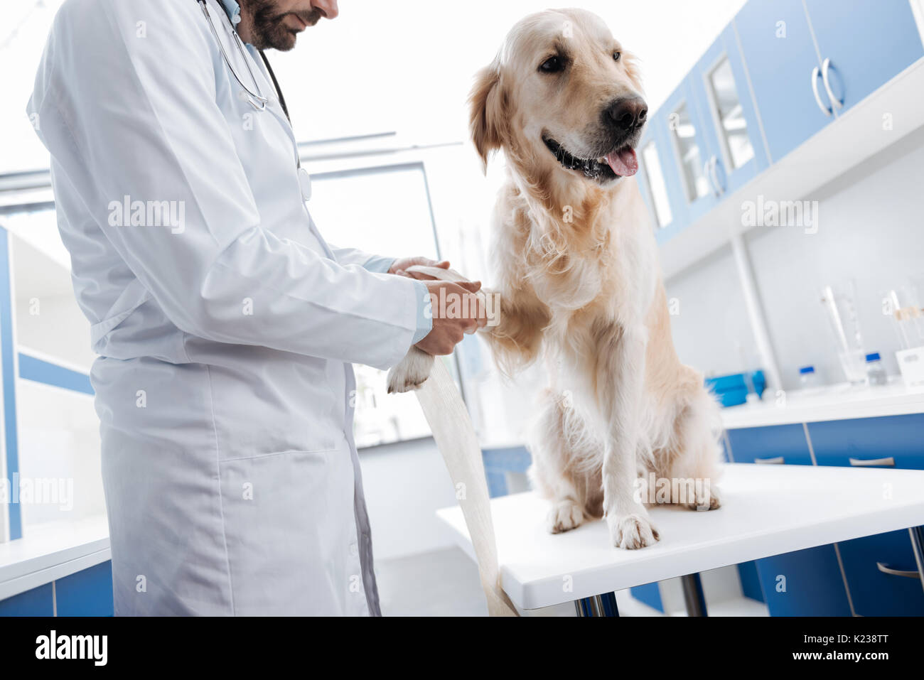 Dog visiting hospital hi-res stock photography and images - Alamy