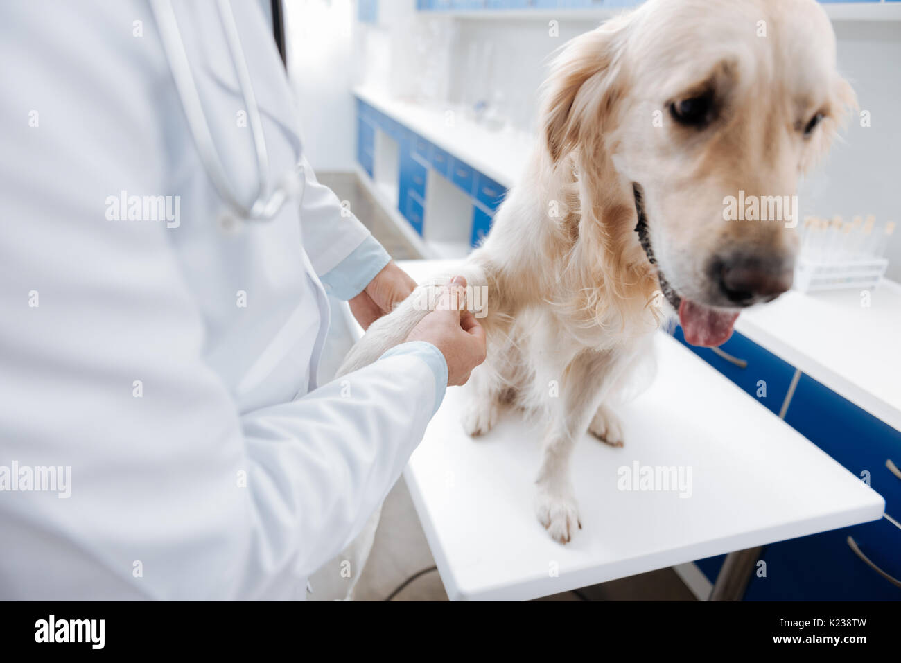 Dog Scared Man High Resolution Stock Photography and Images - Alamy