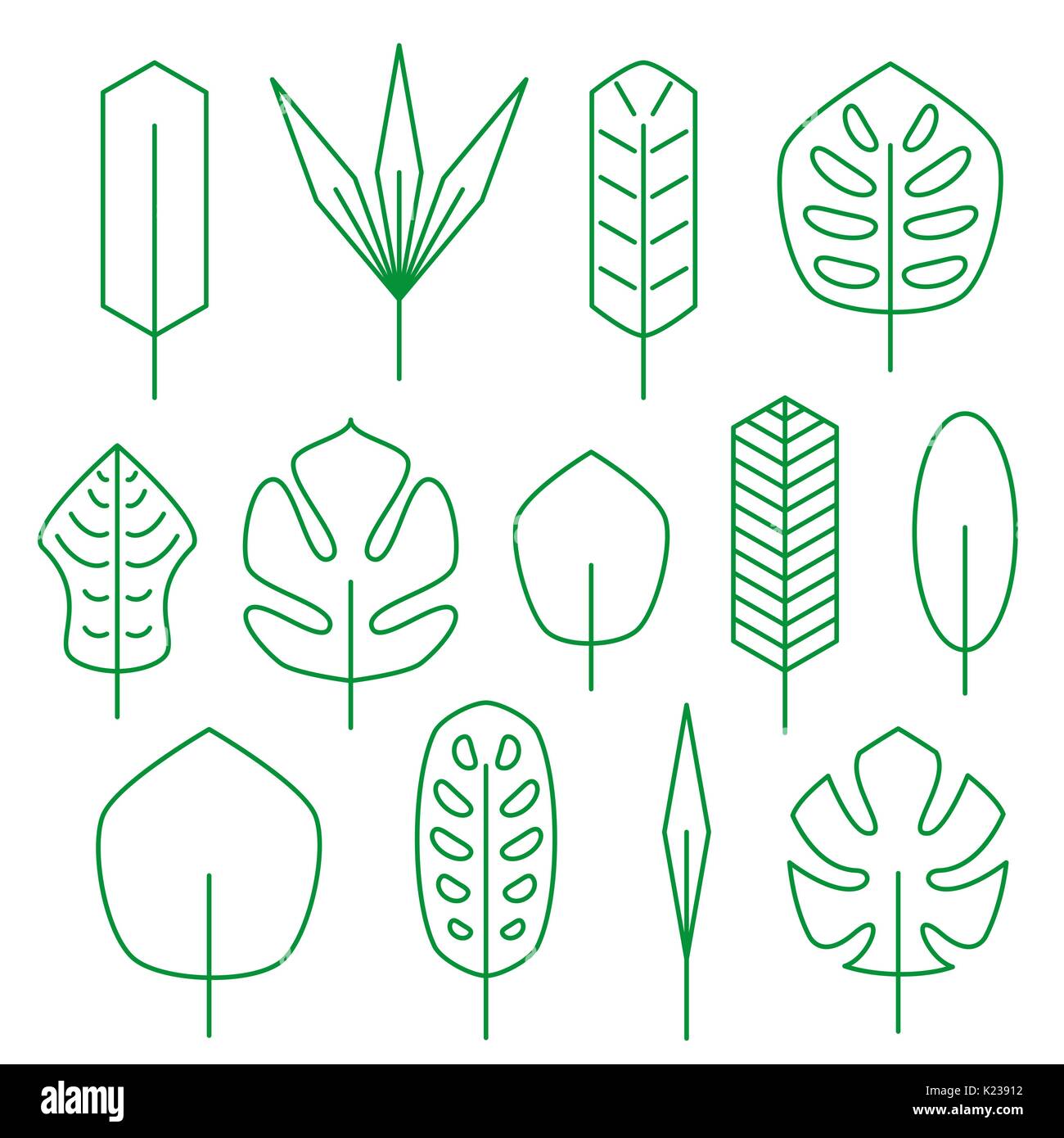Minimalistic linear palm leaf set on white background Stock Vector ...