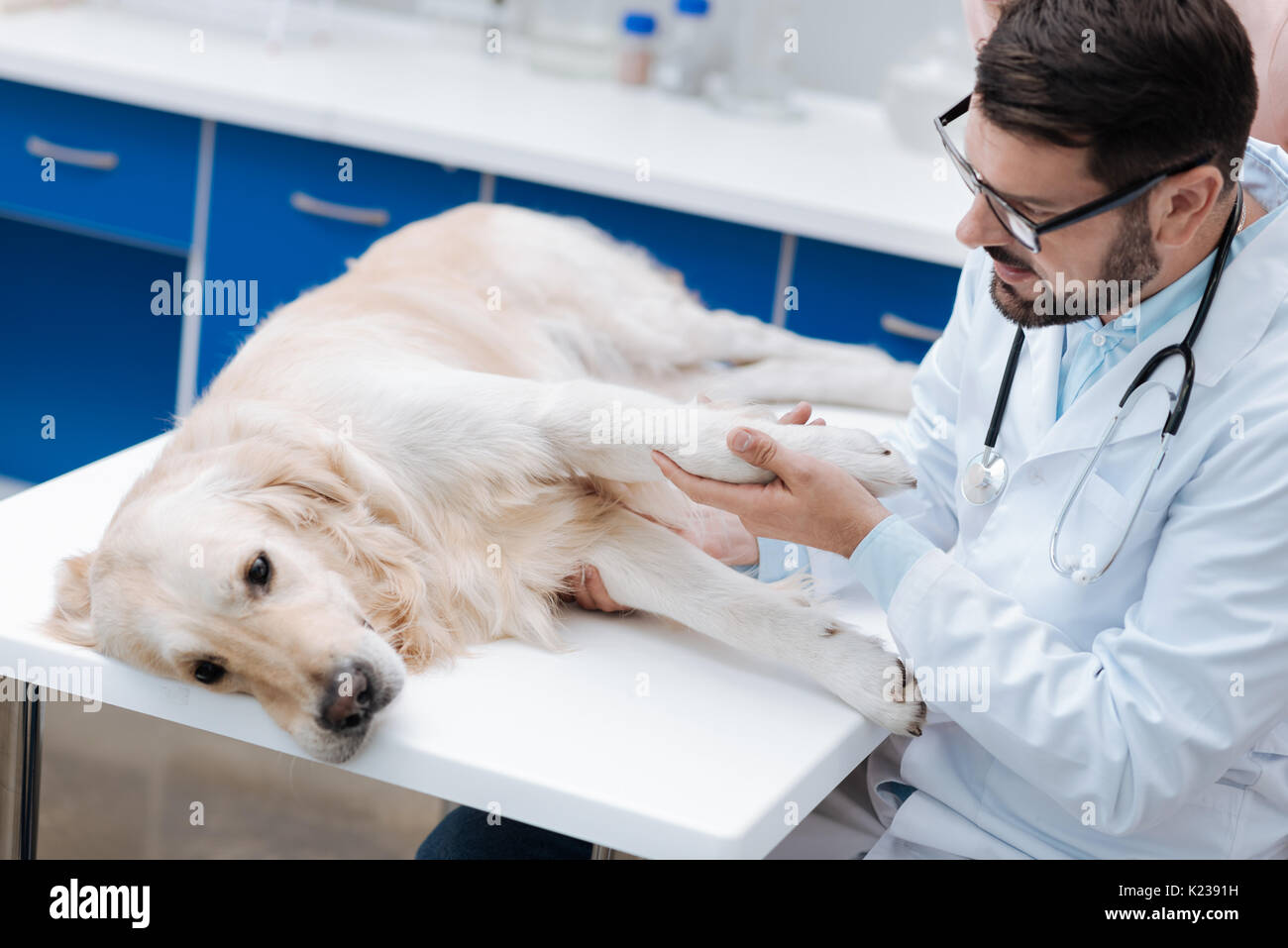 Dog visiting hospital hi-res stock photography and images - Alamy