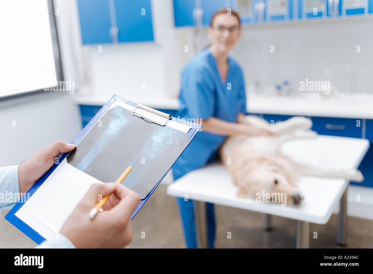 Close up of male hands that holding folder with roentgen picture Stock ...