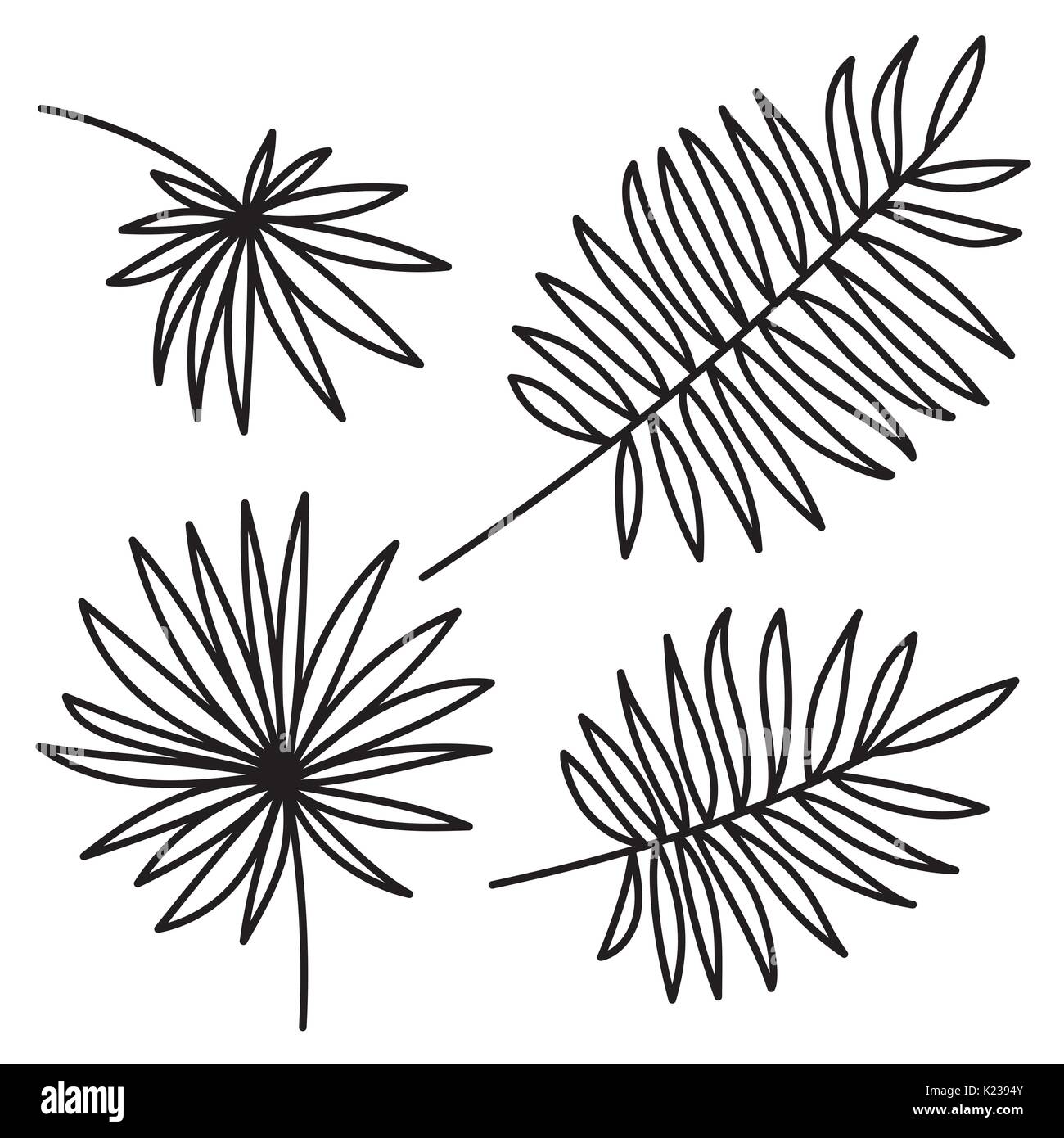 Palm leaf set on white background Stock Vector Image & Art - Alamy