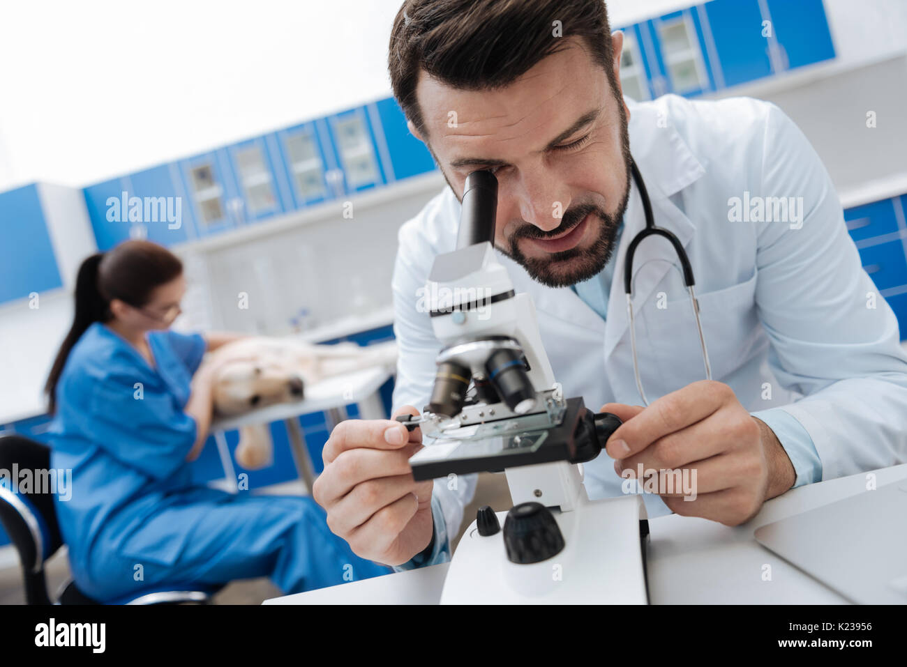 Checking dogs hi-res stock photography and images - Alamy