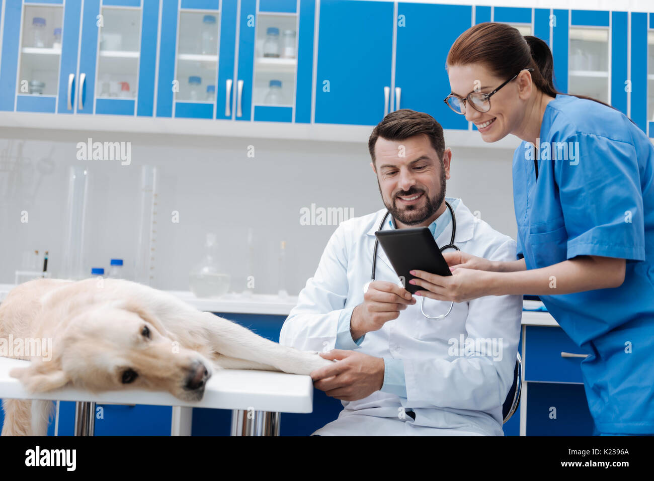 Treating sick animal hi-res stock photography and images - Alamy