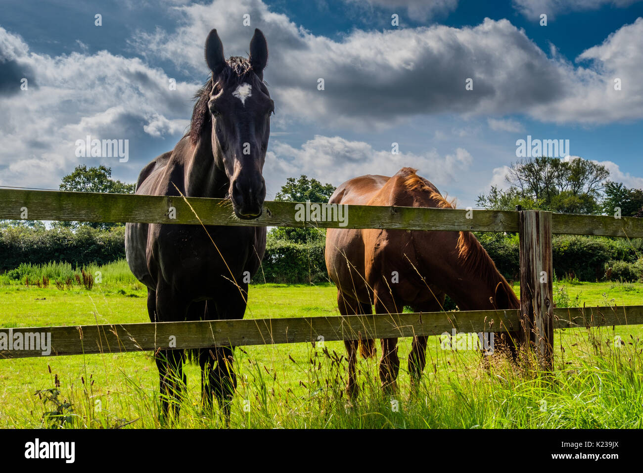 East Rudham High Resolution Stock Photography and Images - Alamy