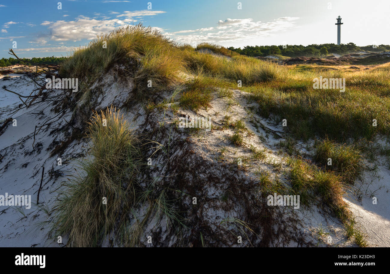 Dueodde, Denmark. 21st Aug, 2017. View of the light tower of Dueodde on ...