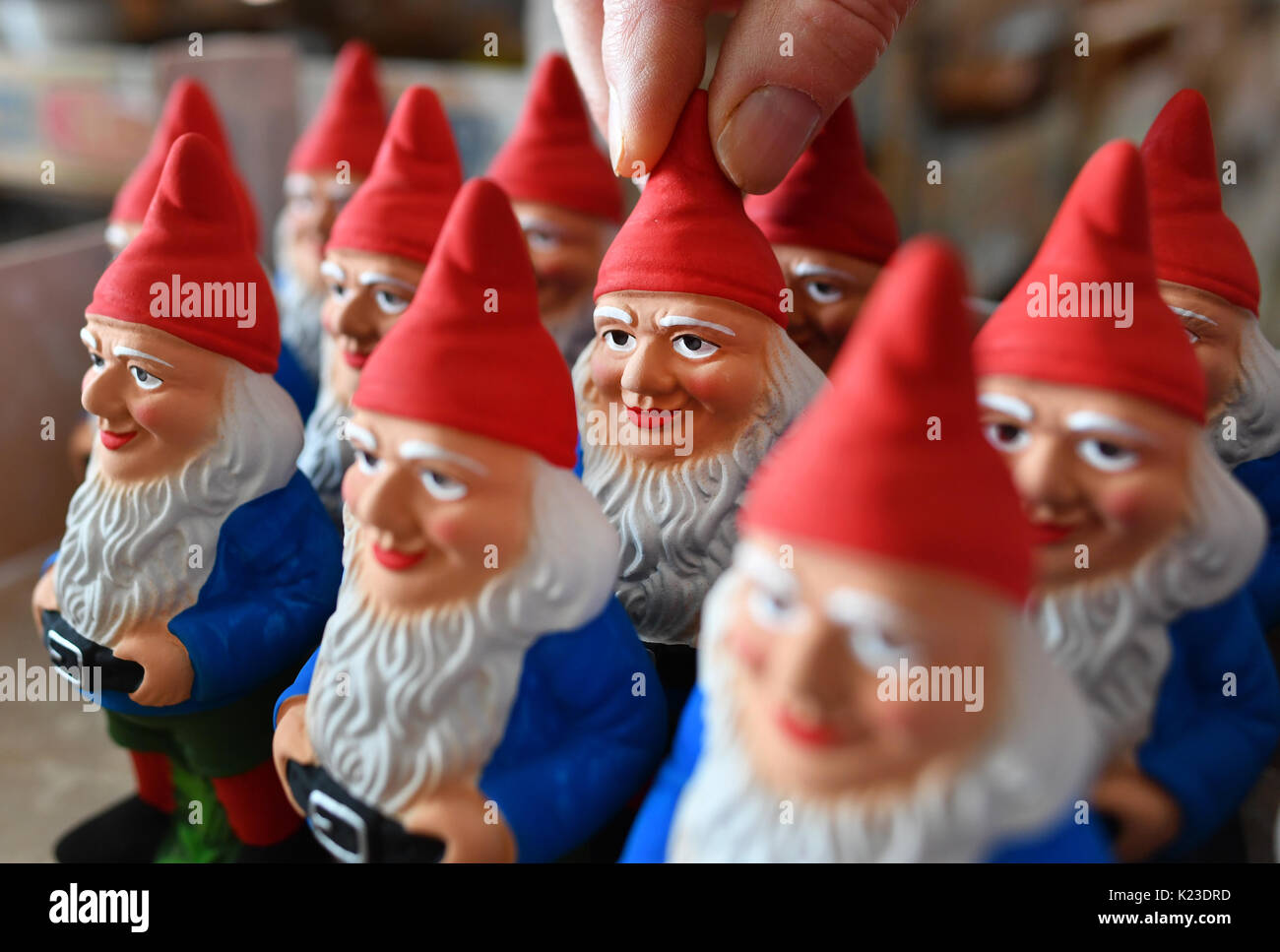 Graefenroda, Germany. 25th Aug, 2017. Garden gnomes, photographed at ...