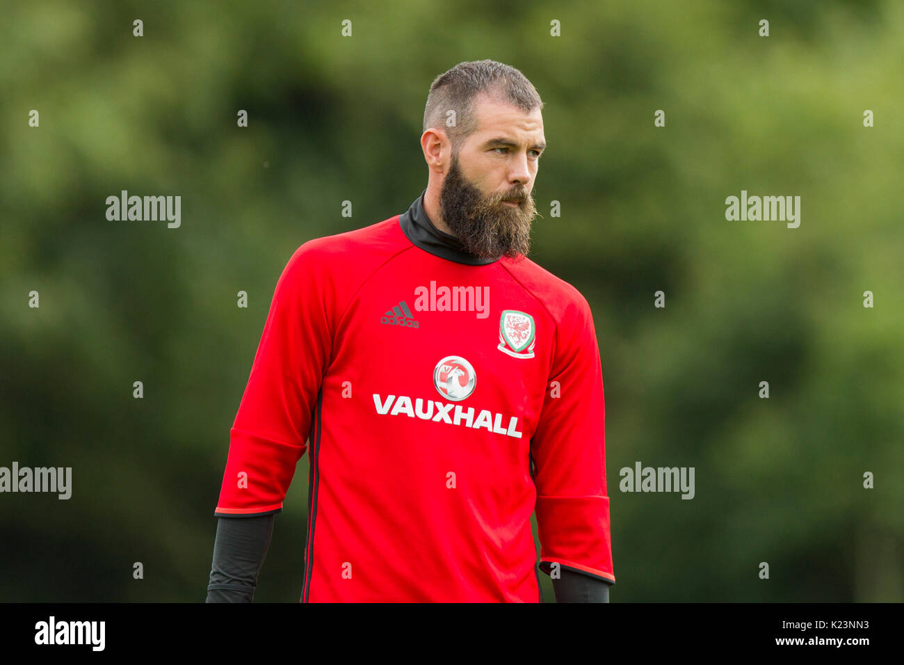 Wales joe ledley ahead hi-res stock photography and images - Alamy