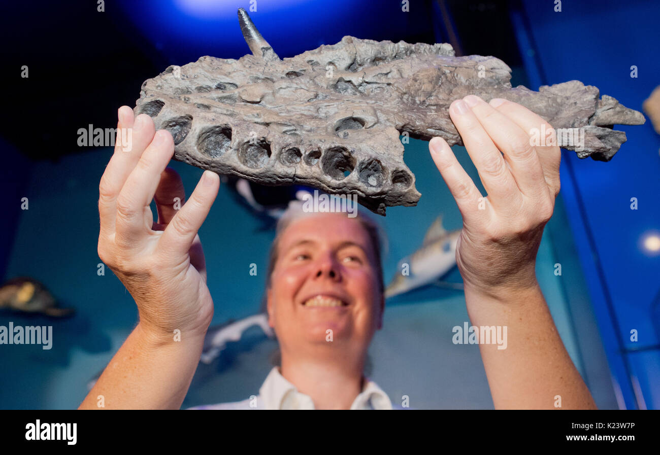 Hanover, Germany. 30th Aug, 2017. The custodian Annette Richter holds ...