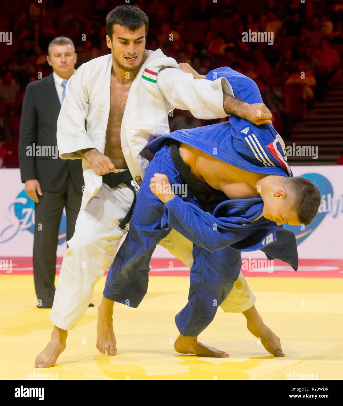 Budapest, Hungary. 30th Aug, 2017. Czech judoka Jakub Jecminek (right ...