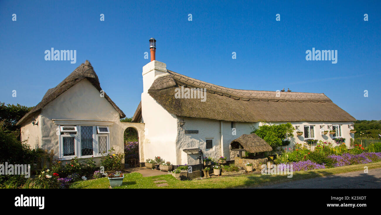 Cornish thatched cottage roof hi-res stock photography and images - Alamy