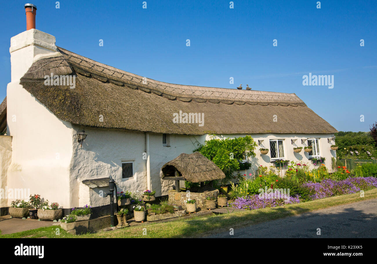 Cornish thatched cottage roof hi-res stock photography and images - Alamy