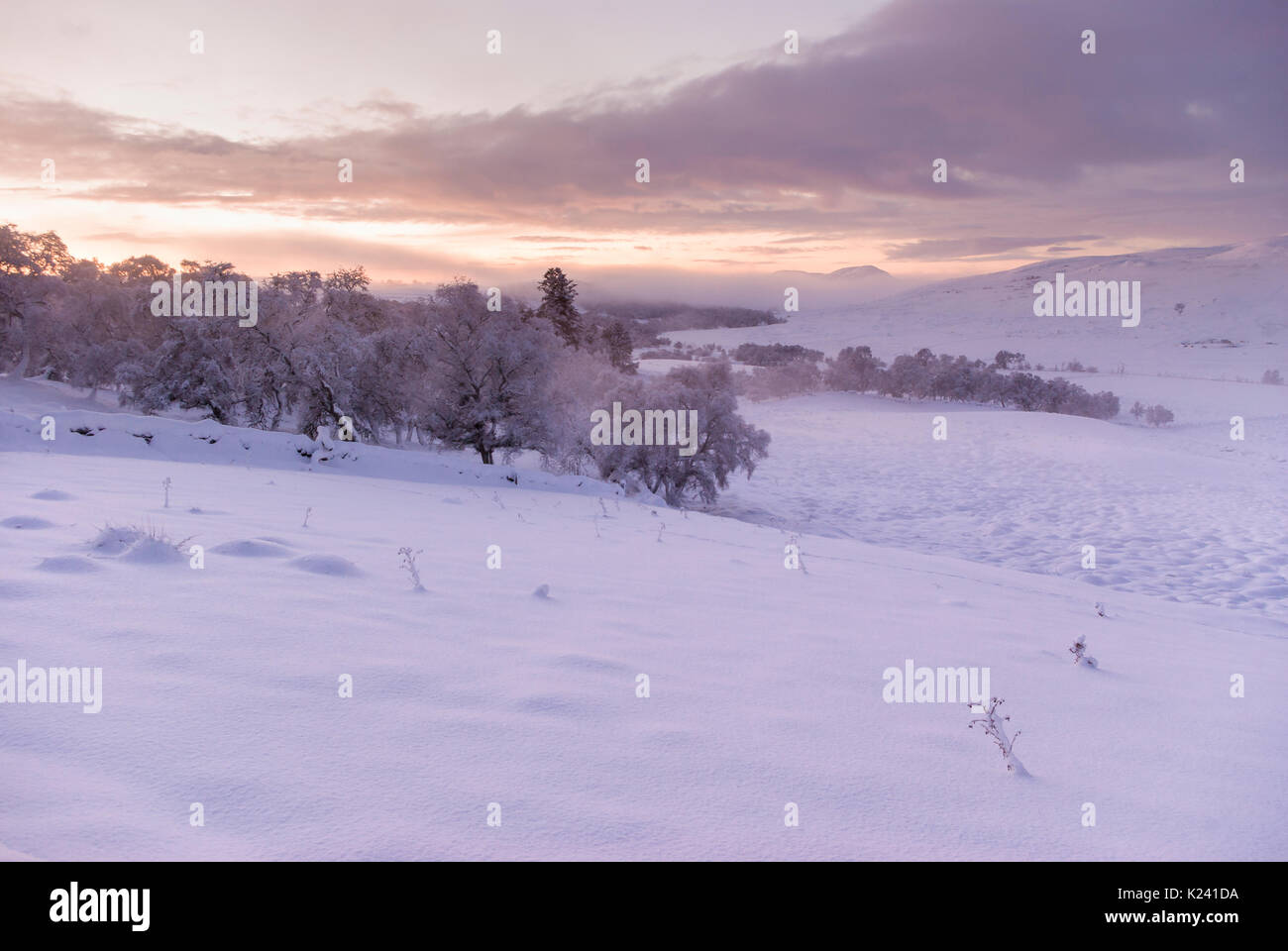 Strath brora hi-res stock photography and images - Alamy
