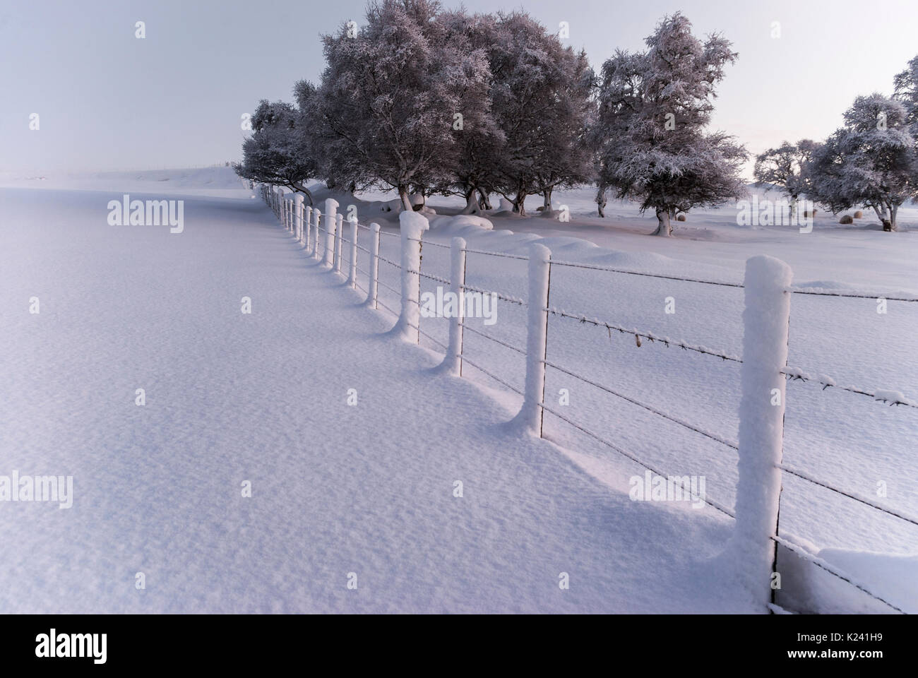 Rural countryside landscape with fence covered in thick snow on a clear ...