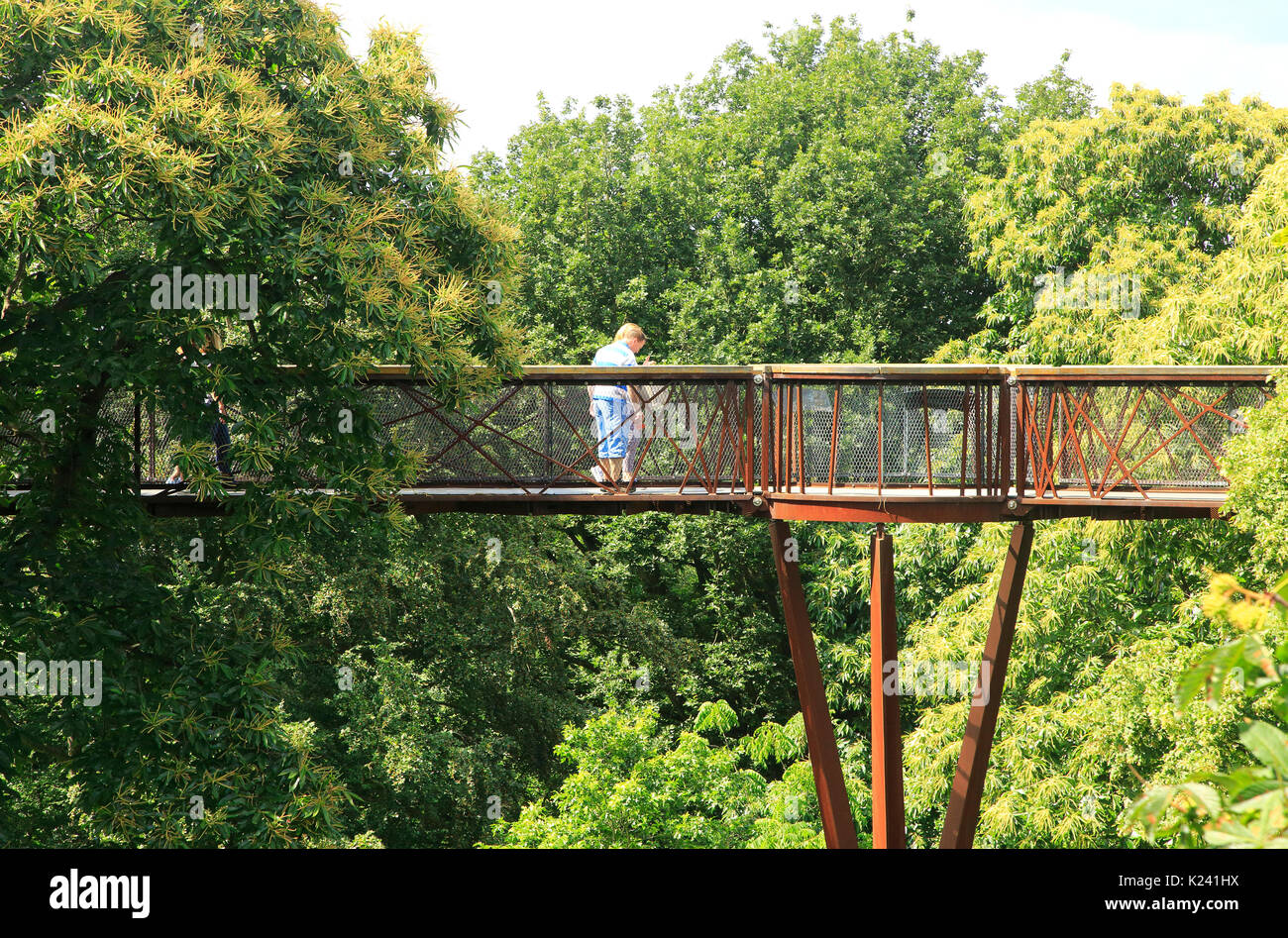 Xstrata Treetop Walkway, Royal Botanic Gardens, Kew, London, England ...
