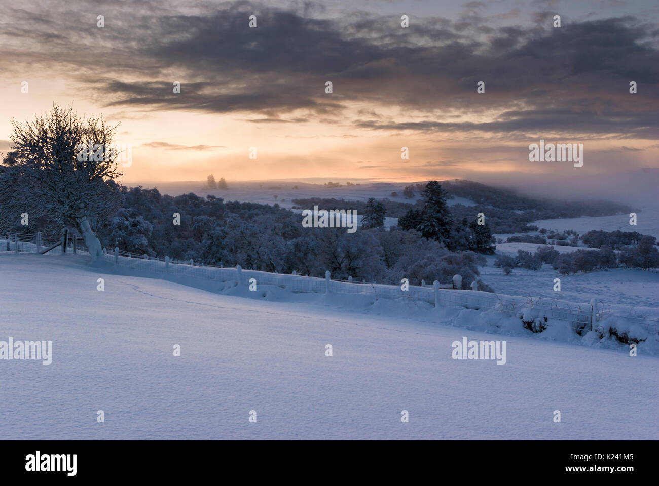 Rural countryside landscape in thick snow on a winters day, Rogart ...