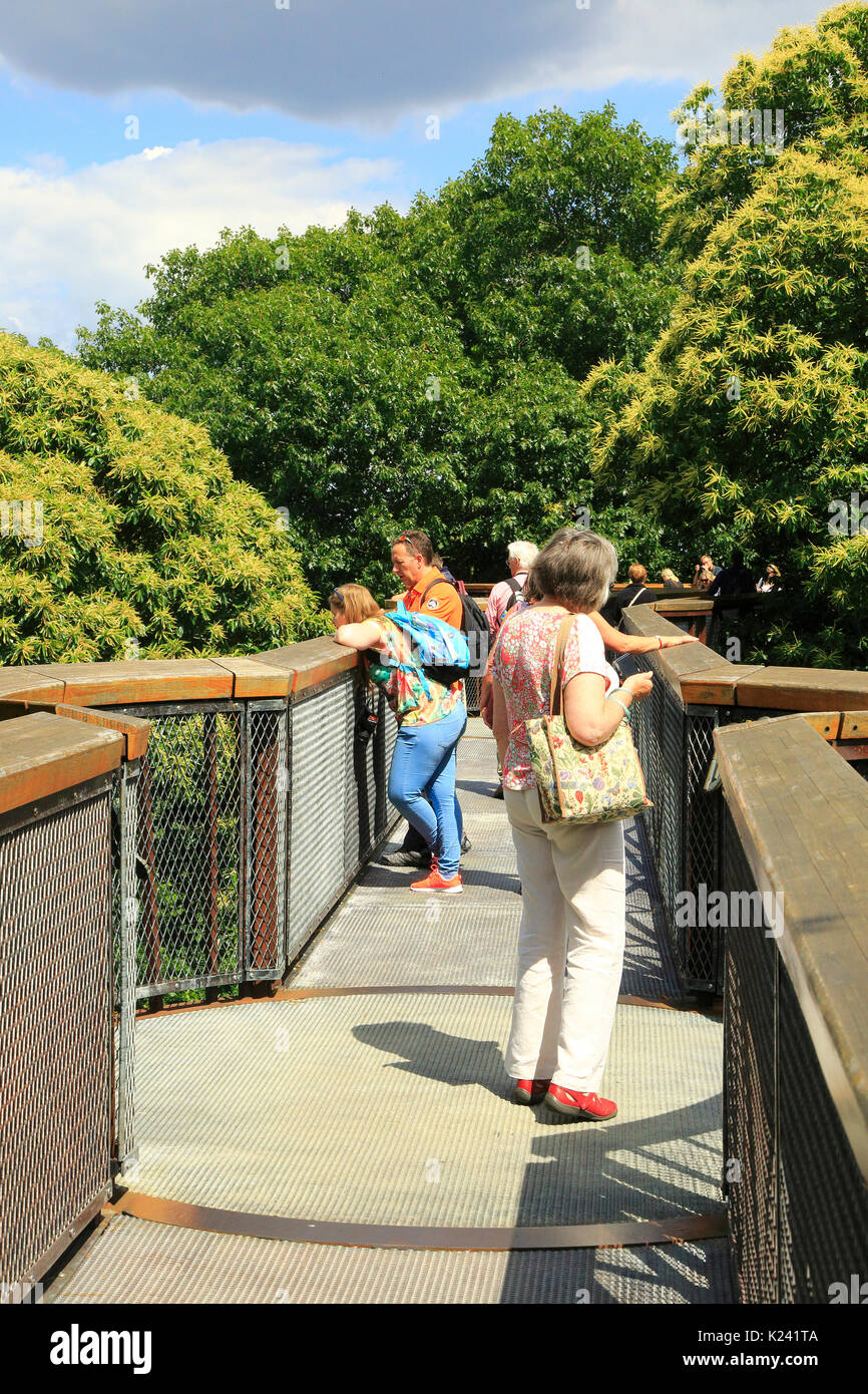 Xstrata Treetop Walkway, Royal Botanic Gardens, Kew, London, England ...