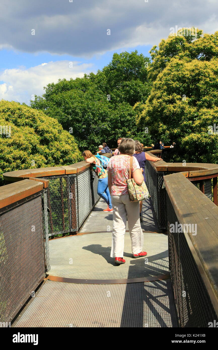 Xstrata Treetop Walkway, Royal Botanic Gardens, Kew, London, England ...