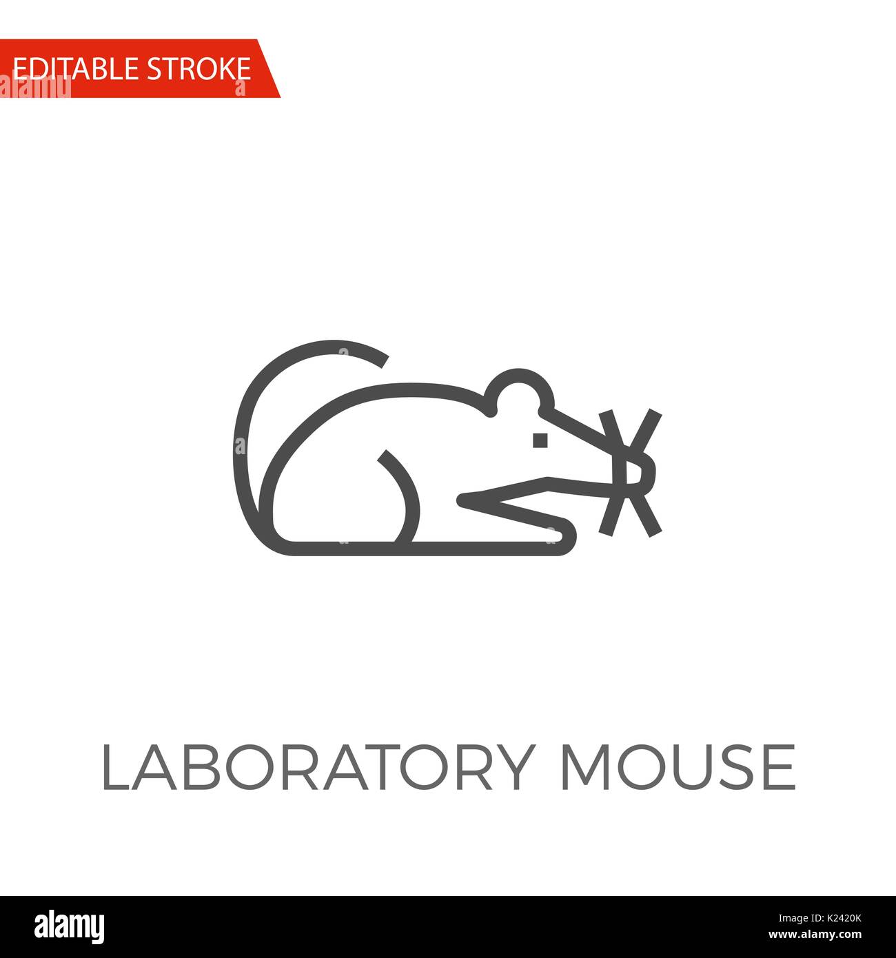 Laboratory Mouse Thin Line Vector Icon. Flat Icon Isolated on the White ...