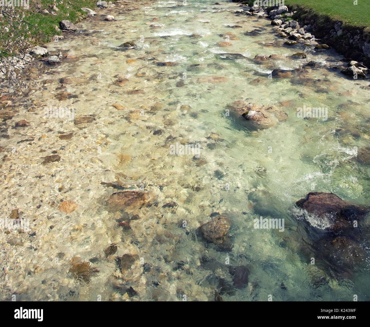 clear water in the river with rocks Stock Photo - Alamy