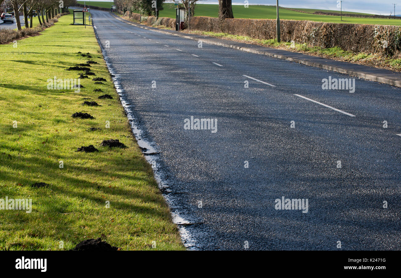 Tarmac road grass hi-res stock photography and images - Alamy