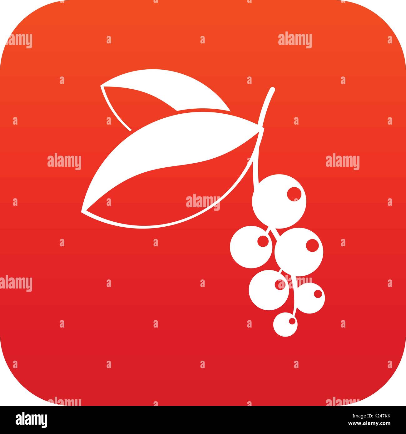 Bunch red currant on Stock Vector Images - Alamy