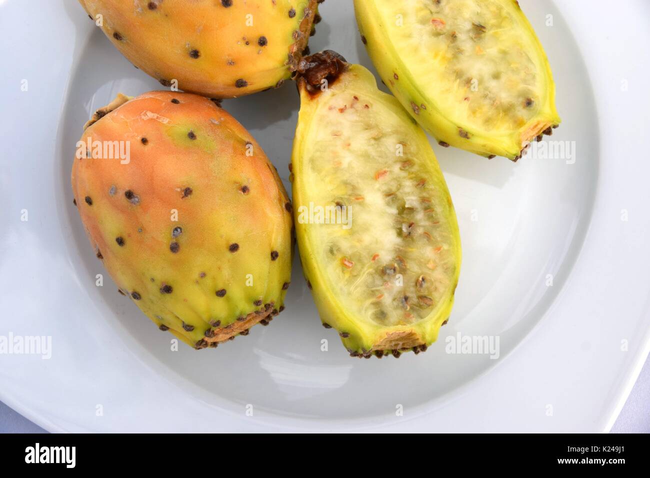 Opuntia ficus-indica, Indian fig opuntia, Barbary fig, cactus pear ...