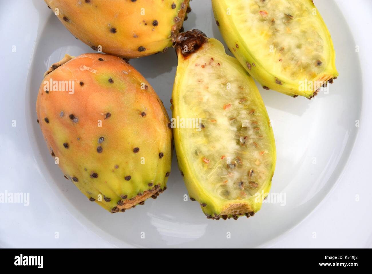 Opuntia ficus-indica, Indian fig opuntia, Barbary fig, cactus pear ...